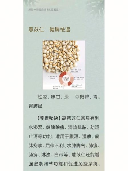 生薏米仁的功效与作用_生薏米仁怎么吃祛湿-第3张图片-山城妙识
