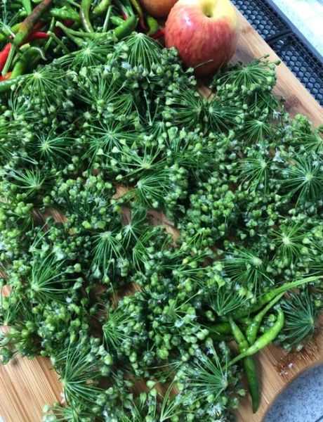 自制韭菜花怎么保存_韭菜花酱做法窍门-第1张图片-山城妙识 自制韭菜花怎么保存_韭菜花酱做法窍门-第1张图片-山城妙识