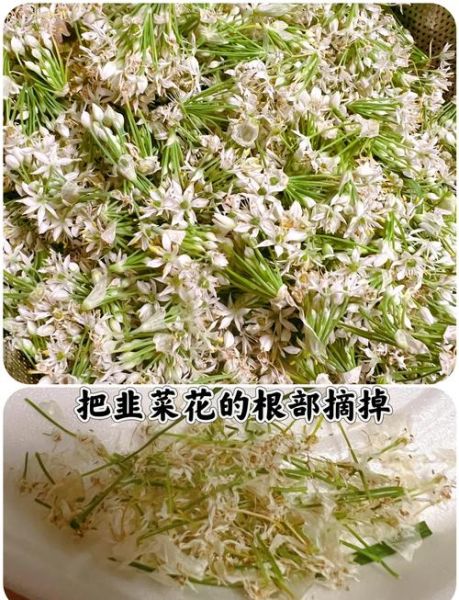 自制韭菜花怎么保存_韭菜花酱做法窍门-第2张图片-山城妙识 自制韭菜花怎么保存_韭菜花酱做法窍门-第2张图片-山城妙识