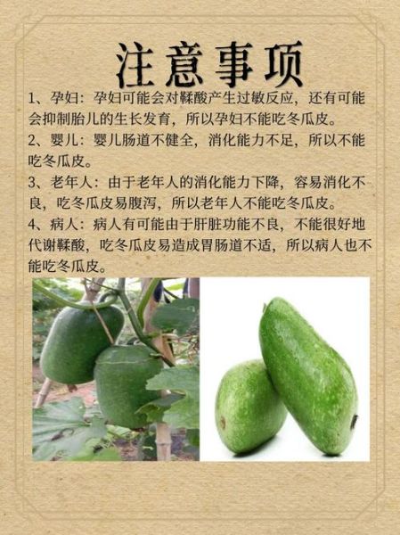 冬瓜皮泡水喝的副作用_哪些人不能吃-第3张图片-山城妙识 冬瓜皮泡水喝的副作用_哪些人不能吃-第3张图片-山城妙识
