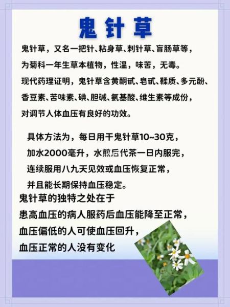 降血压最快的偏方大全_高血压自然疗法有哪些-第1张图片-山城妙识