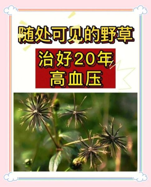 降血压最快的偏方大全_高血压自然疗法有哪些-第3张图片-山城妙识