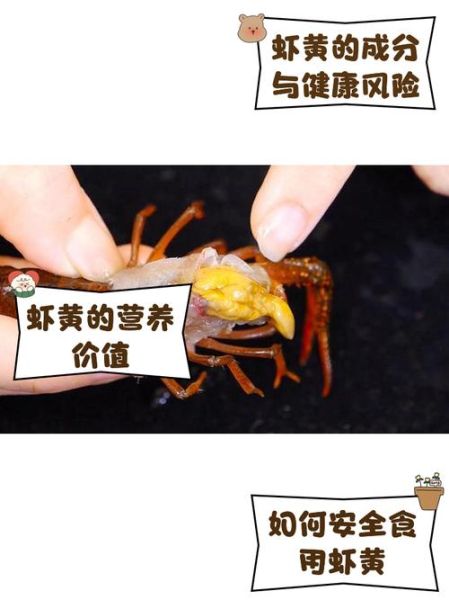 虾头一坨黄是虾黄还是屎_虾头黄色部分能吃吗-第3张图片-山城妙识