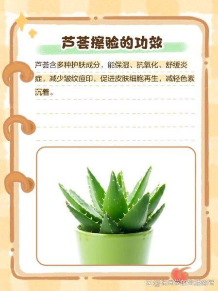 芦荟可以擦脸吗_芦荟擦脸的正确方法-第1张图片-山城妙识