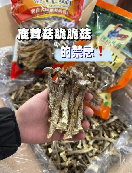 蘑菇的功效与作用禁忌_蘑菇什么人不能吃-第1张图片-山城妙识 蘑菇的功效与作用禁忌_蘑菇什么人不能吃-第1张图片-山城妙识