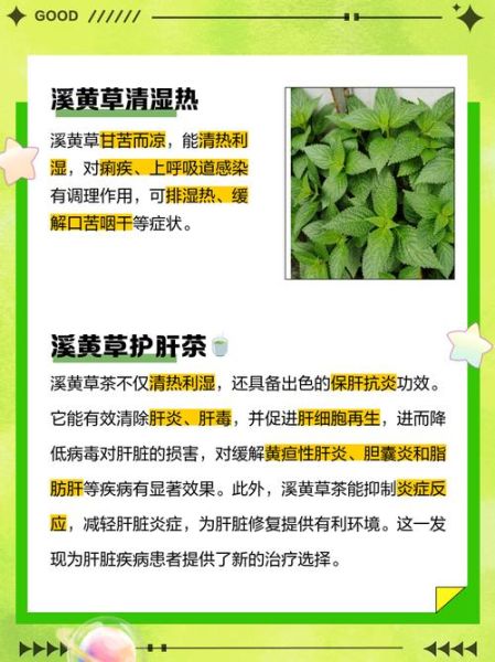 溪黄草的功效与作用_溪黄草主治什么病-第1张图片-山城妙识