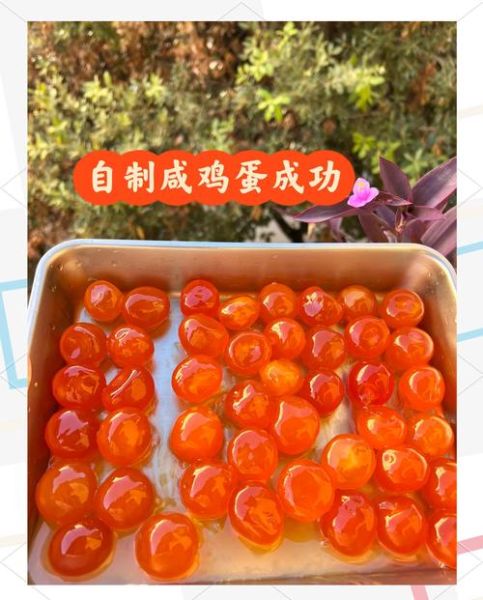 盐水鸡蛋怎么做_盐水鸡蛋要泡多久-第2张图片-山城妙识