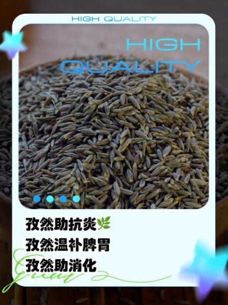 孜然吃多了有什么危害_孜然致癌是真的吗-第3张图片-山城妙识 孜然吃多了有什么危害_孜然致癌是真的吗-第3张图片-山城妙识