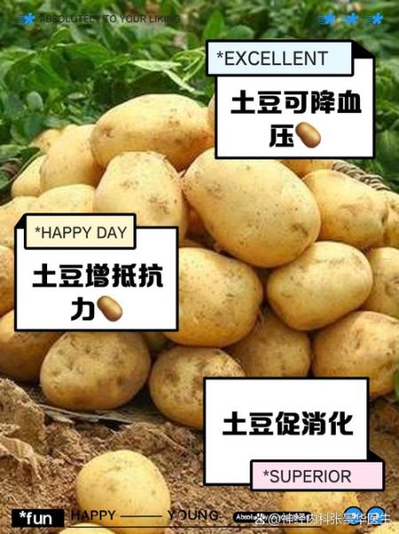 土豆能降血压吗_土豆的药用价值有哪些-第3张图片-山城妙识 土豆能降血压吗_土豆的药用价值有哪些-第3张图片-山城妙识