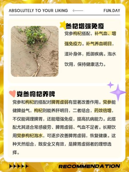 党参泡水喝的功效与作用_党参泡水适合什么人喝-第2张图片-山城妙识