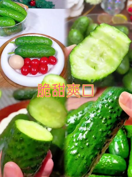 什么时候吃黄瓜最好_晚上吃黄瓜会胖吗-第3张图片-山城妙识