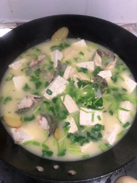 鲶鱼炖豆腐是哪个菜系_家常做法与起源-第1张图片-山城妙识 鲶鱼炖豆腐是哪个菜系_家常做法与起源-第1张图片-山城妙识