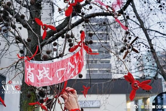 饭圈小公主是哪家粉丝_怎么判断-第2张图片-山城妙识 饭圈小公主是哪家粉丝_怎么判断-第2张图片-山城妙识