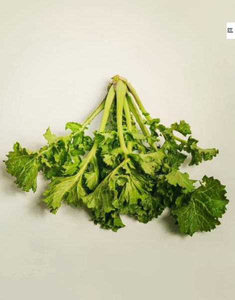 苔菜图片大全大图_苔菜长什么样-第1张图片-山城妙识