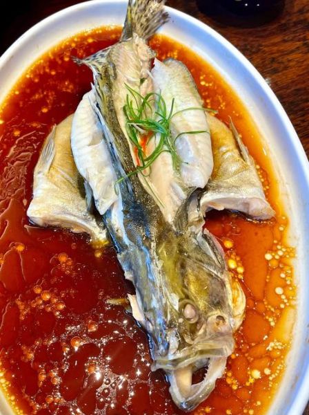 鳇鱼图片_鳇鱼长什么样-第1张图片-山城妙识