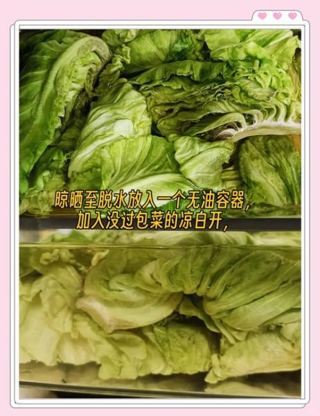 包菜做酸菜的方法_酸菜腌制多久能吃-第3张图片-山城妙识