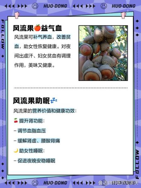 风流果的功效与作用_风流果怎么吃效果最好-第3张图片-山城妙识 风流果的功效与作用_风流果怎么吃效果最好-第3张图片-山城妙识