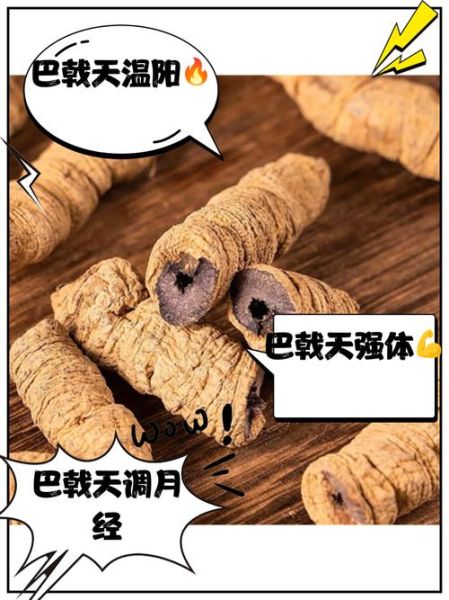 巴戟天禁忌人群有哪些_哪些人不适合吃巴戟天-第1张图片-山城妙识