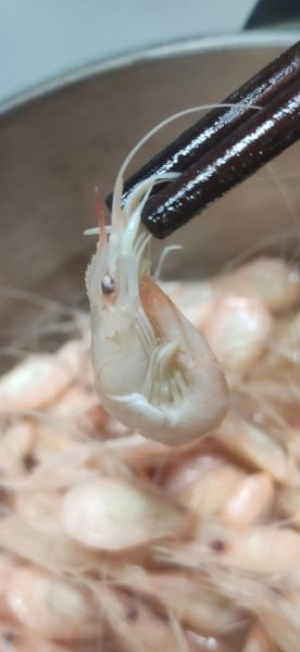 白虾水煮几分钟_白虾水煮怎么做好吃-第2张图片-山城妙识