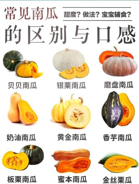 南瓜和北瓜的区别_哪个营养价值更高-第3张图片-山城妙识 南瓜和北瓜的区别_哪个营养价值更高-第3张图片-山城妙识