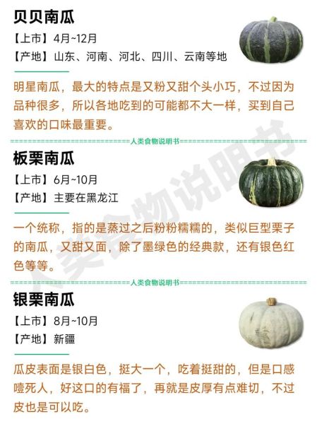 南瓜和北瓜的区别_哪个营养价值更高-第1张图片-山城妙识 南瓜和北瓜的区别_哪个营养价值更高-第1张图片-山城妙识