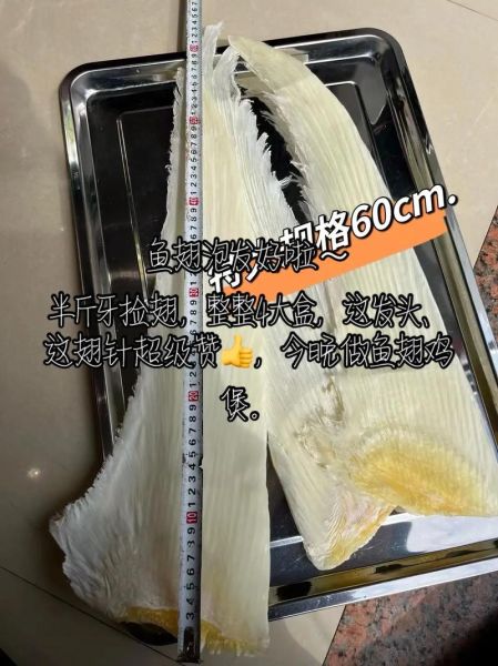 鱼翅怎么泡发_鱼翅真假辨别方法-第3张图片-山城妙识 鱼翅怎么泡发_鱼翅真假辨别方法-第3张图片-山城妙识