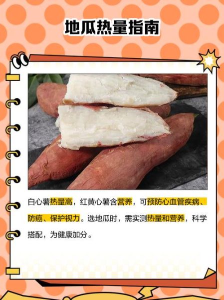 地瓜的营养价值有哪些_地瓜热量高吗-第2张图片-山城妙识