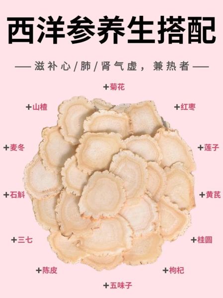 西洋参的功效与作用有哪些_西洋参怎么吃效果最好-第1张图片-山城妙识