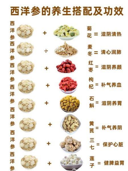 西洋参的功效与作用有哪些_西洋参怎么吃效果最好-第3张图片-山城妙识