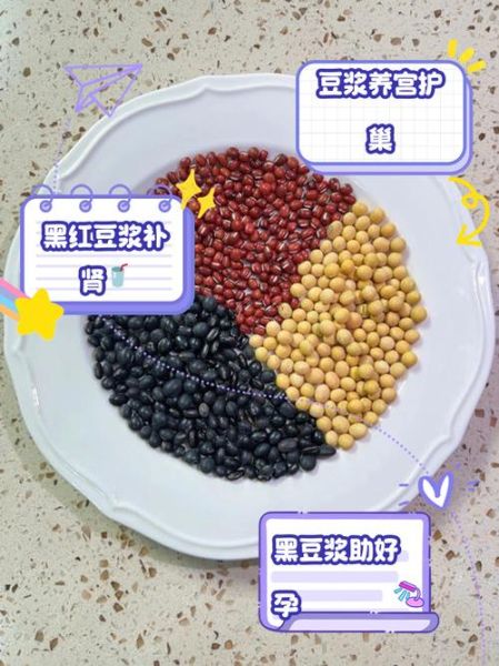 坚持喝一个月豆浆卵巢的变化_豆浆对卵巢真的有用吗-第1张图片-山城妙识 坚持喝一个月豆浆卵巢的变化_豆浆对卵巢真的有用吗-第1张图片-山城妙识