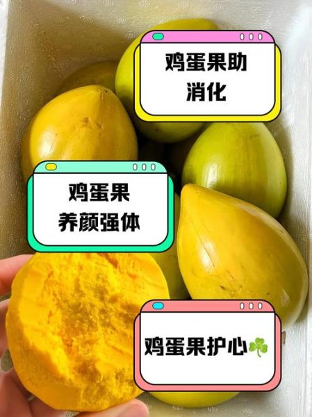 鸡蛋果孕妇可以吃吗_孕期吃鸡蛋果的好处与禁忌-第3张图片-山城妙识