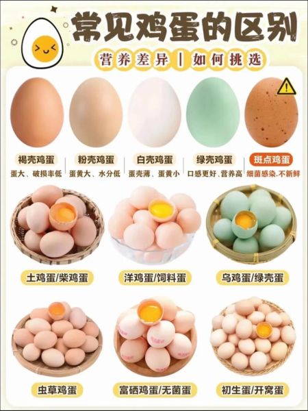 土鸡蛋和普通鸡蛋的区别_土鸡蛋营养价值真的更高吗-第2张图片-山城妙识 土鸡蛋和普通鸡蛋的区别_土鸡蛋营养价值真的更高吗-第2张图片-山城妙识