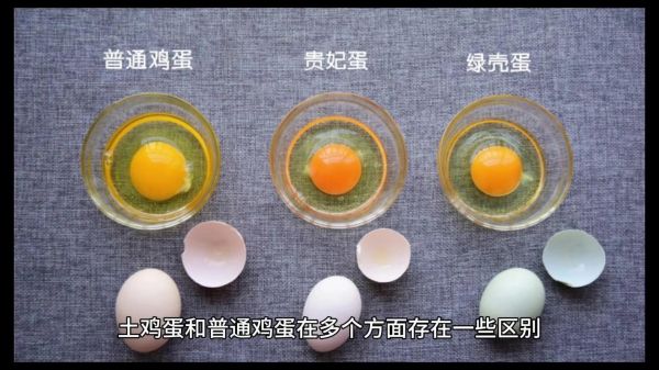 土鸡蛋和普通鸡蛋的区别_土鸡蛋营养价值真的更高吗-第1张图片-山城妙识 土鸡蛋和普通鸡蛋的区别_土鸡蛋营养价值真的更高吗-第1张图片-山城妙识