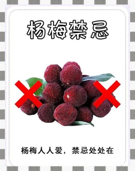 杨梅的功效与作用禁忌_孕妇能吃吗-第1张图片-山城妙识 杨梅的功效与作用禁忌_孕妇能吃吗-第1张图片-山城妙识