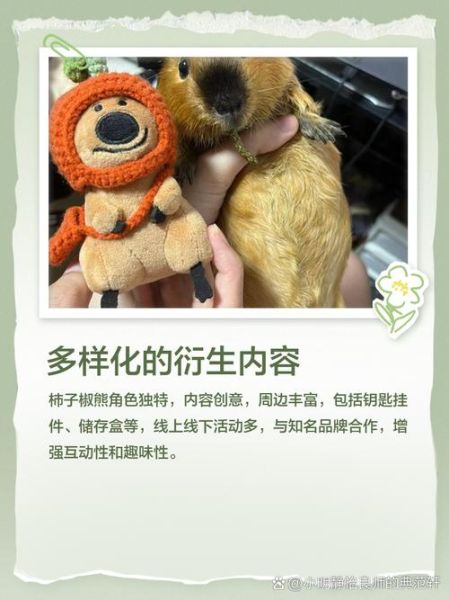 柿子椒熊为什么火_柿子椒熊爆火原因-第3张图片-山城妙识