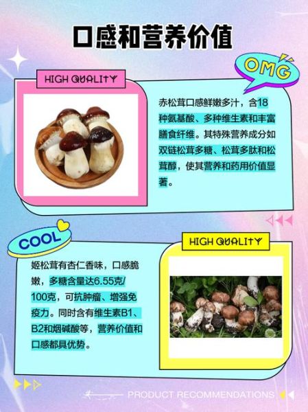 姬松茸和松茸的区别_如何一眼分辨真假松茸-第1张图片-山城妙识