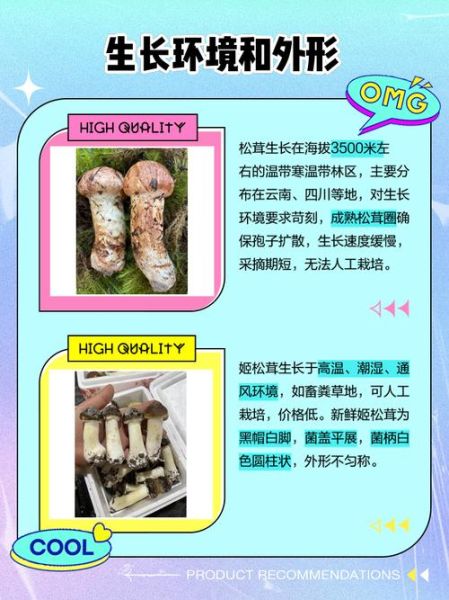 姬松茸和松茸的区别_如何一眼分辨真假松茸-第3张图片-山城妙识