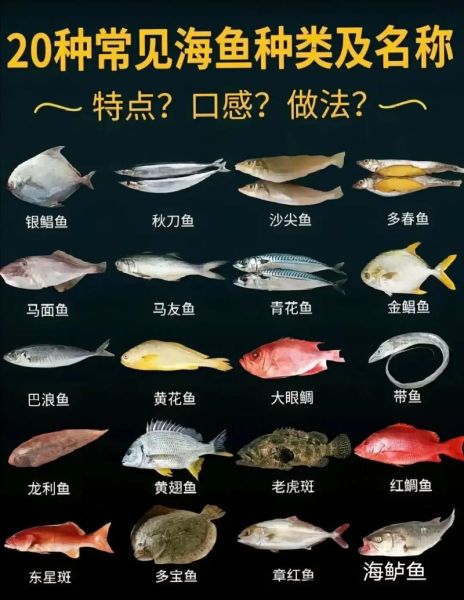 常吃海鱼的种类有哪些_如何挑选新鲜海鱼-第2张图片-山城妙识