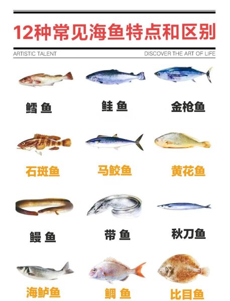 常吃海鱼的种类有哪些_如何挑选新鲜海鱼-第3张图片-山城妙识