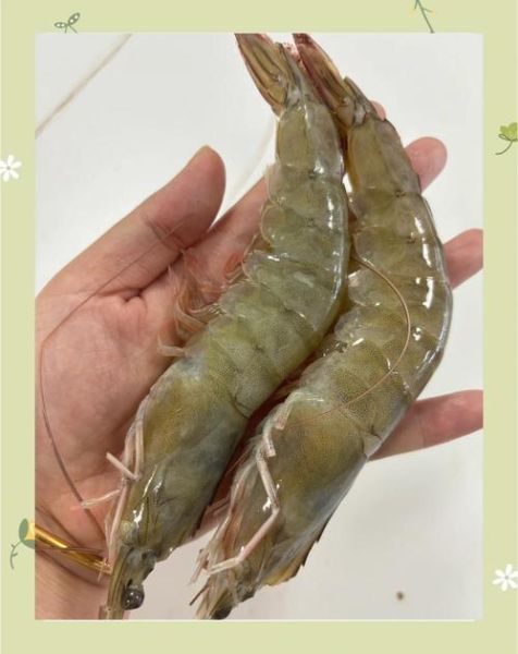 厄瓜多尔白虾还能吃吗_白虾安全检测标准-第1张图片-山城妙识 厄瓜多尔白虾还能吃吗_白虾安全检测标准-第1张图片-山城妙识