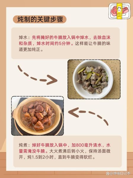 牛腩怎么炖好吃_牛腩炖多久才软烂-第1张图片-山城妙识