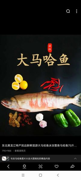 黑龙江大马哈鱼怎么做_大马哈鱼家常做法-第1张图片-山城妙识