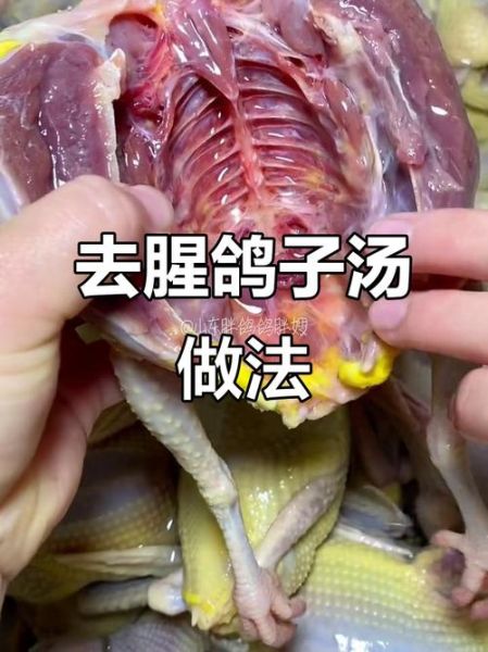 炖鸽子汤怎么做好吃_鸽子汤去腥增鲜技巧-第2张图片-山城妙识