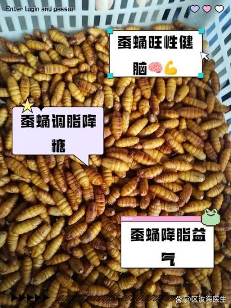 蚕蛹的热量高吗_蚕蛹减肥能吃吗-第1张图片-山城妙识
