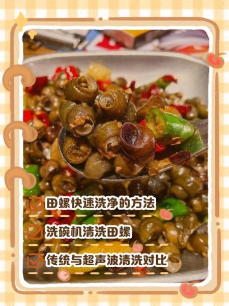 田螺怎么洗干净_田螺清洗技巧-第1张图片-山城妙识 田螺怎么洗干净_田螺清洗技巧-第1张图片-山城妙识