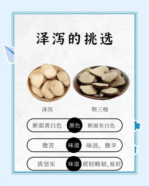 泽泻的功效与作用_泽泻能减肥吗-第1张图片-山城妙识