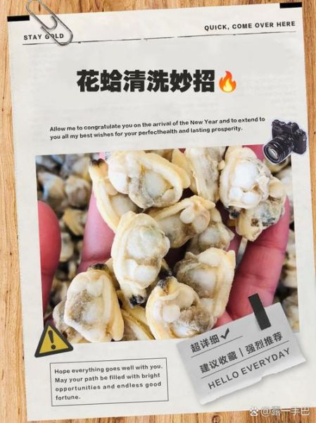 正宗花蛤怎么清洗_花蛤吐沙最快的方法-第1张图片-山城妙识