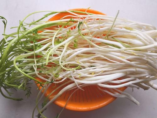 春卷事件是什么_春卷事件真相-第1张图片-山城妙识