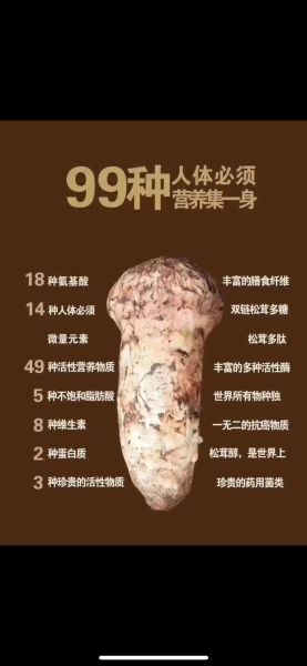 野生松茸的功效与作用_野生松茸怎么吃最好-第1张图片-山城妙识