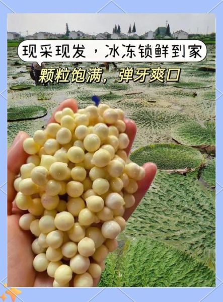 水淀粉勾芡比例是多少_勾芡失败怎么办-第1张图片-山城妙识